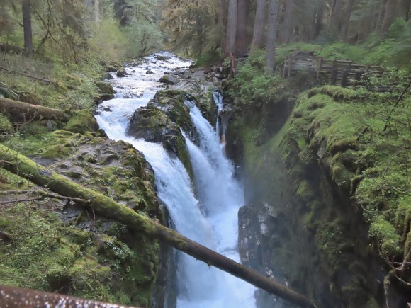 Olympic National Park Day 2 – Sol Duc Falls and Lake Crescent 5/13/2025 ...