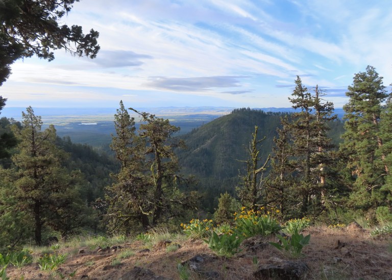 Tygh Creek Trail – 05/26/2025 – wanderingyuncks